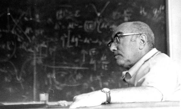 Биография Якова Зельдовича